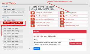 USSSA - United States Specialty Sports Association